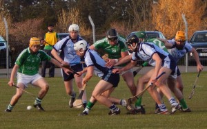 Éire Óg suffer narrow defeat to Templederry | Nenagh Éire Óg